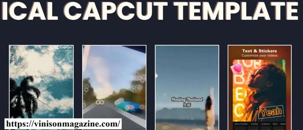 The Ultimate Guide to Black PFP : Trends, Meaning, and How to Create ...